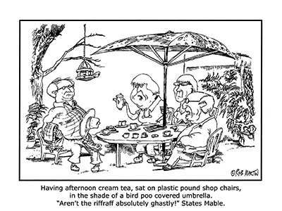 This Country by Rob Martin